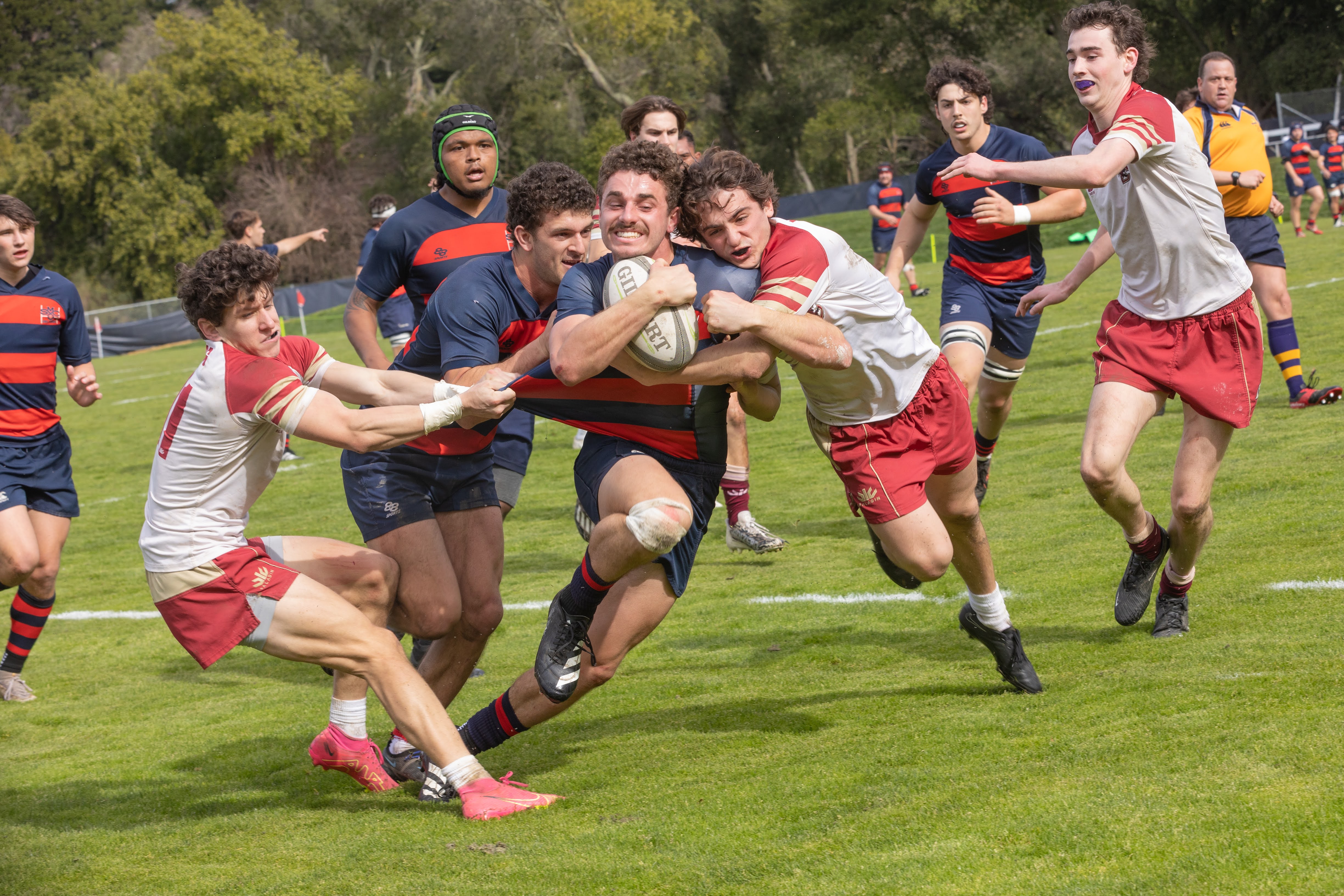 Storti Family Ruggers—An SMC Legacy | Saint Mary's College